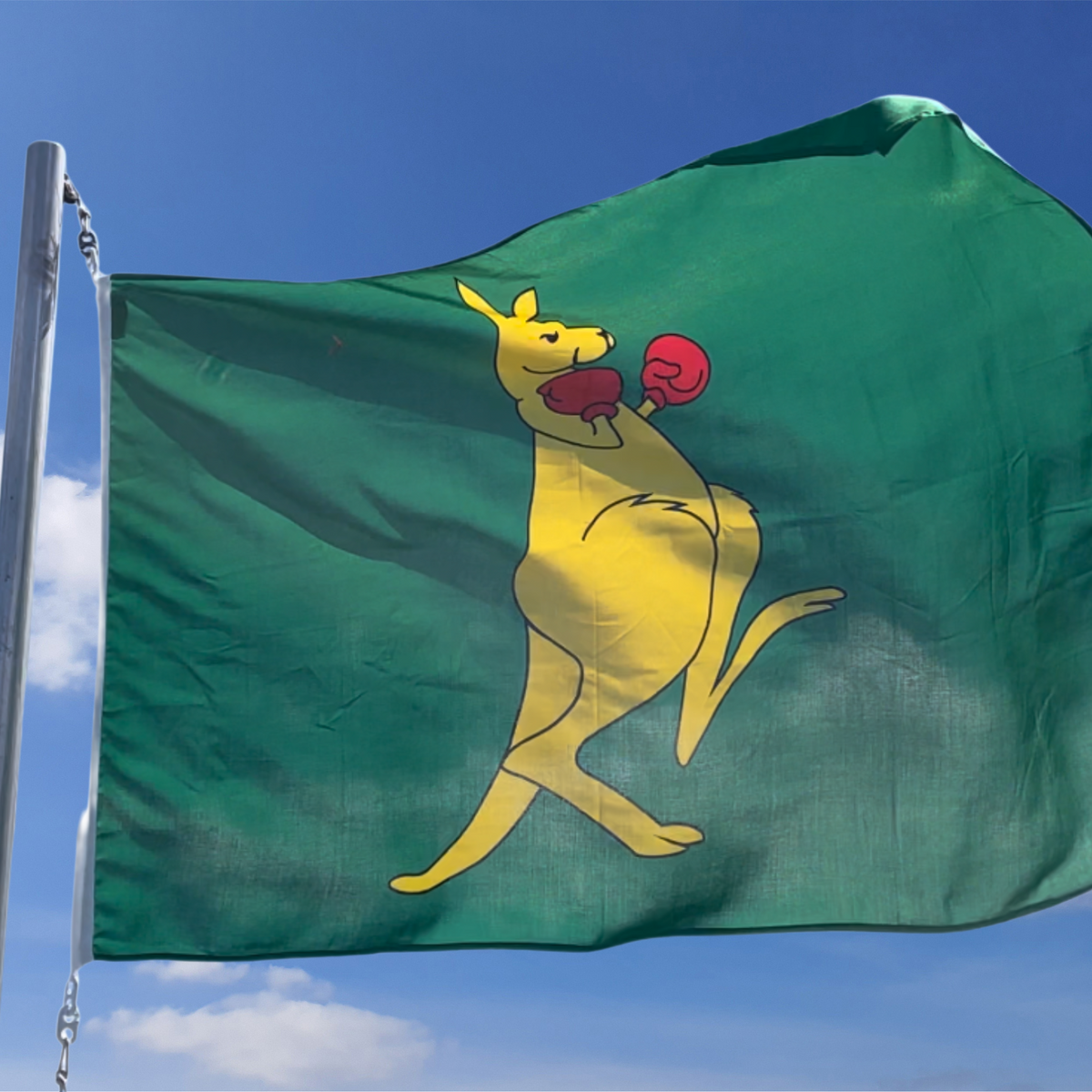 Sporting Flags – Harry West Flags
