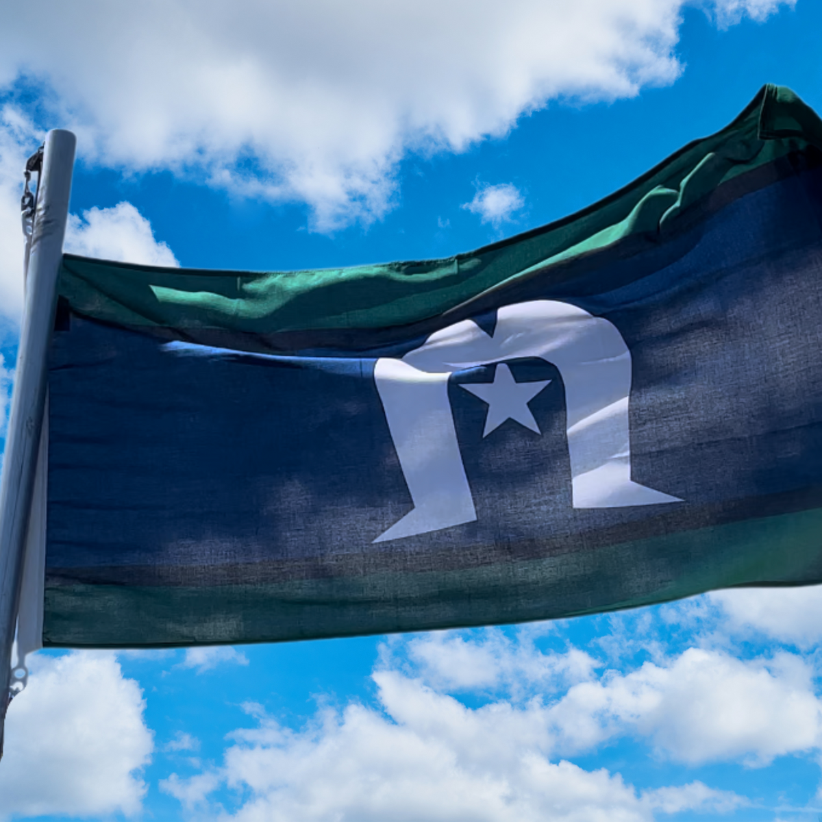 First Nations Flags – Harry West Flags