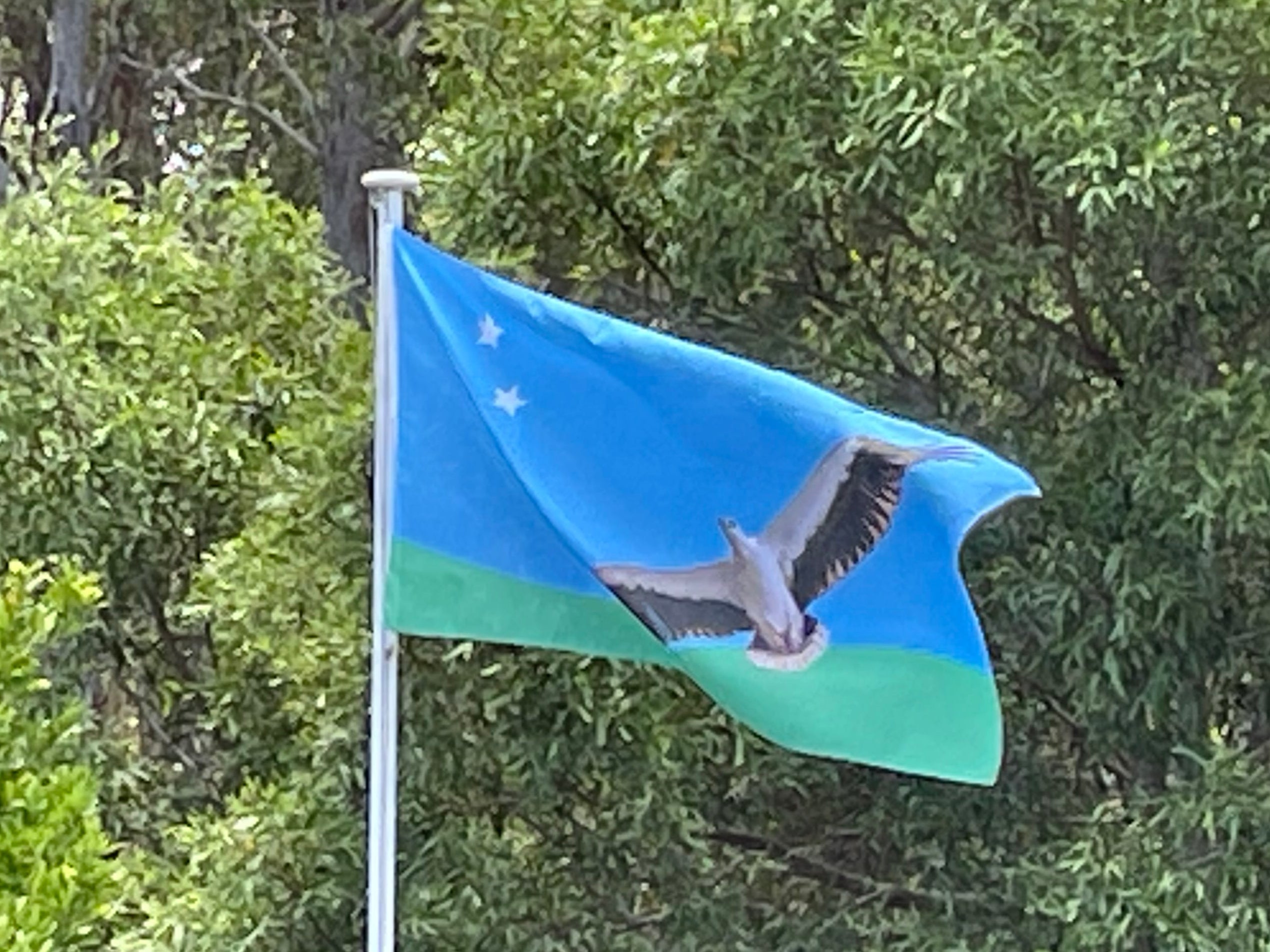 Custom Printed Flags – Harry West Flags